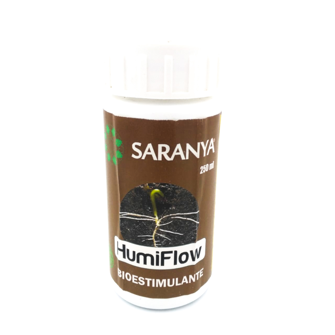 Encuentra semillas de cannabis, pipas, indoor y mas en oferta